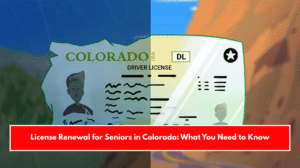 License Renewal for Seniors in Colorado: What You Need to Know