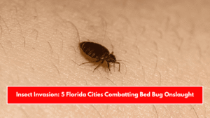 Insect Invasion: 5 Florida Cities Combatting Bed Bug Onslaught