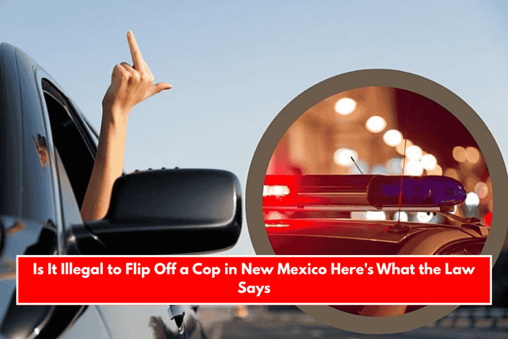 Is It Illegal to Flip Off a Cop in New Mexico Here's What the Law Says